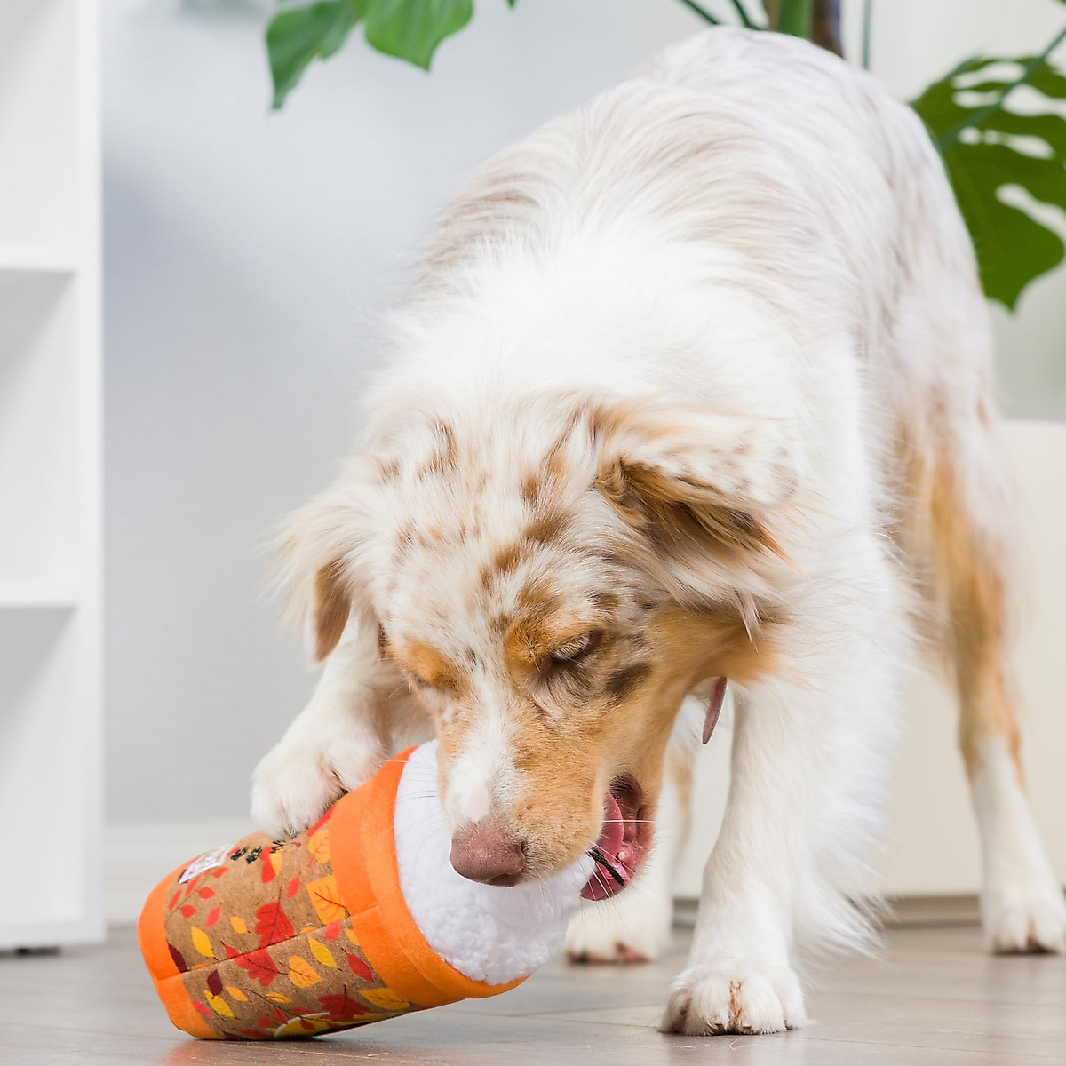 Huxley & Kent for Dogs | Puggin Spice Latte (Small) | Fall Funny Dog Toy | Power Plush Dog Toy with Squeaker | Dog Gift | Fun, Durable, and Safe | H&K Squeaky Dog Toy