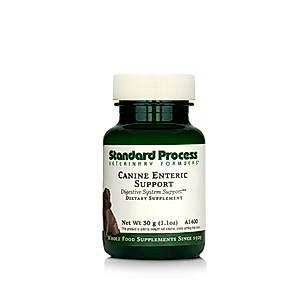 Standard Process Canine Enteric Support - Digestive System Support for Dogs - Nutritional Dog Supplement for Gut Health Support - Canine Supplement Formula to Aid Healthy Digestion - 30 g