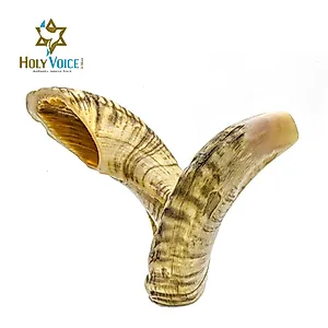 Holy Voice Yemeni Shofar Horn from Israel - Yemeni 24"-26" Shofar with Shofar Stand, Carrying Bag, Brush, Anti-Odor Spray – Made in Israel.