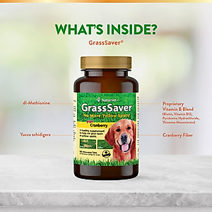 NaturVet – GrassSaver Supplement for Dogs – Healthy Supplement to Help Rid Your Lawn of Yellow Spots – Synergistic Combination of B-Complex Vitamins & Amino Acids – 500 Tablets