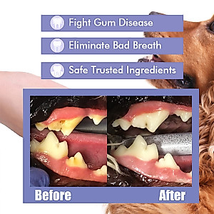 2PCS Pet Teeth Mouth Cleaning Spray, Pet Oral Care Cleaner, Cat & Dog Breath Freshener Spray