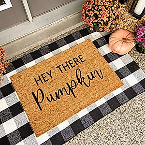 SEEKSEE Cotton Buffalo Plaid Rug 3'x 5' Black and White Hand Woven Checked Rug Washable Doormats Indoor Outdoor Rugs for Layered Front Door Mats, Porch, Kitchen, Farmhouse, Entryway