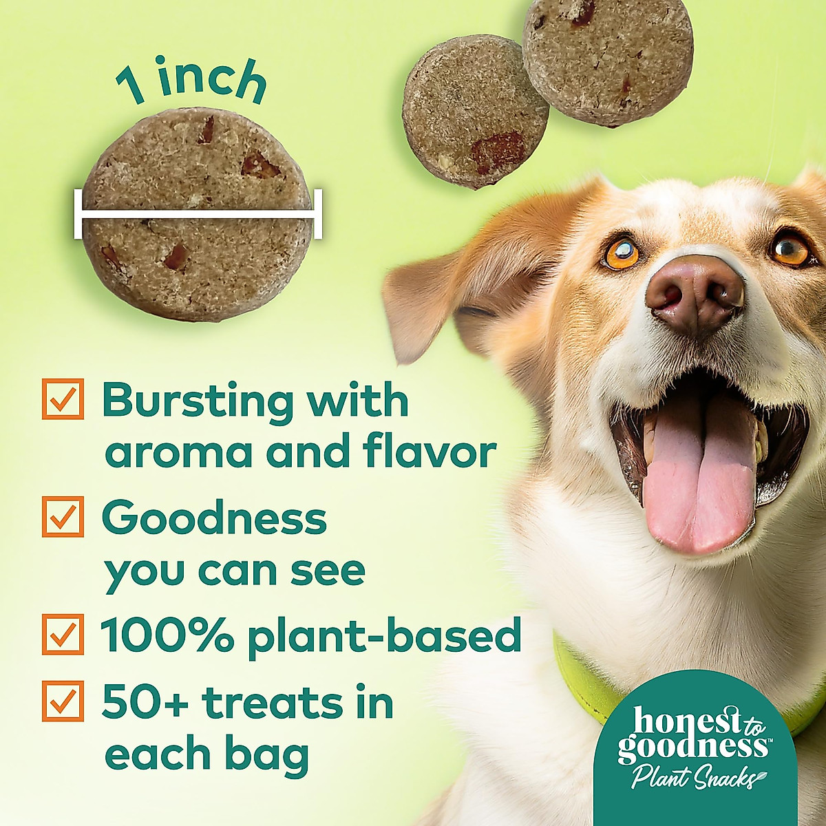 Honest to Goodness Plant Snacks Mellow Belly Pumpkin & Cinnamon Recipe Dog Treats, Enriched with Omega 3s & Postbiotics, 8oz