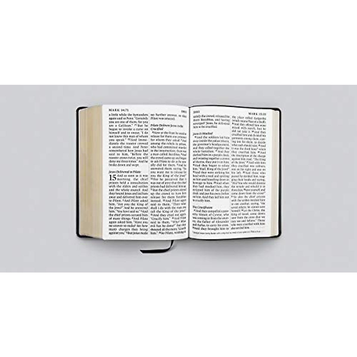ESV Super Giant Print(Font Size - 17pt) Bible (TruTone, Black)