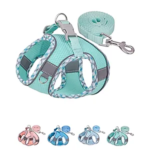 Petank Green Dog Harness (XS), No Pull, Puppy Harness and Leash Set, Jacquard Mesh, Easy Walk Dog Harness for Small Medium Dogs, Reflective Strip, Training, Running, Walking