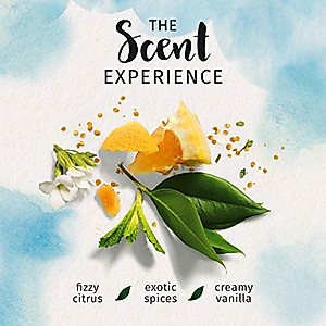 Herbal Essences Argan Oil of Morocco Shampoo and Conditioner for Color Treated Hair, , Paraben Free, BioRenew, Bundle Pack, 13.5 FL OZ