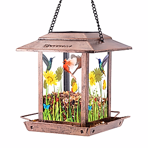 DesGully Bird Feeders for Outdoors Hanging - 2.5 LBs Wild Birds Metal Solar Bird Feeder for Outside Gift Ideas for Bird Lovers Garden Yard Bird Seeds (Chew-Proof,Weather Resistance)