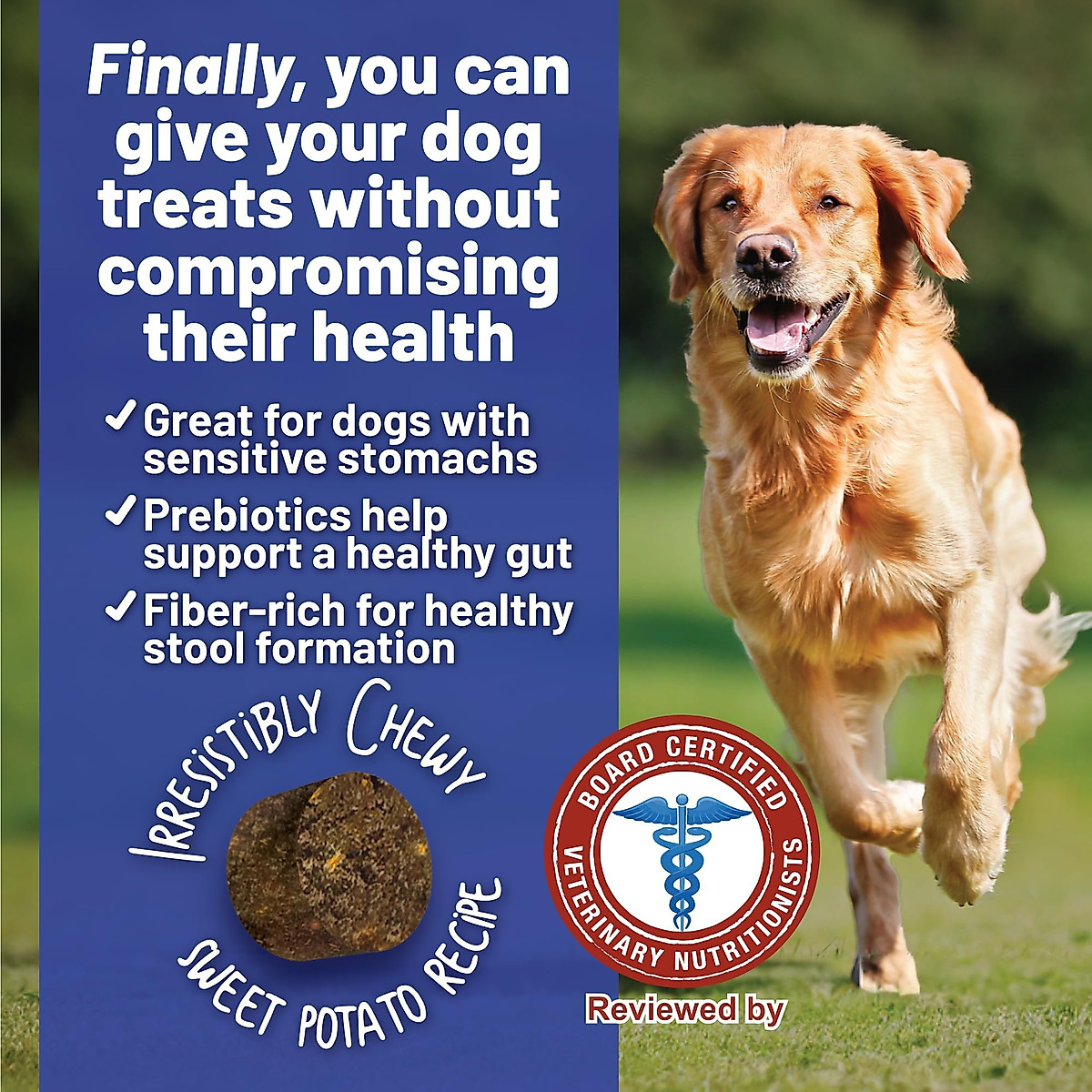 Dave's Pet Food Sweet Potato & Pumpkin Dog Treats for Sensitive Stomachs, Semi-Moist Soft & Digestive Friendly, Made in USA, Senior, Small & Large Dogs, Gut Health (1 Pack)