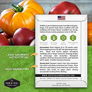 Survival Garden Seeds - Hillbilly Tomato Seed for Planting - Packet with Instructions to Plant and Grow Uniquely Colored Potato Leaf Tomatoes in Your Home Vegetable Garden - Non-GMO Heirloom Variety