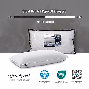 Beautyrest BT-DP-35 Tencel/Cotton Blend Cover Hypoallergenic White Down Pillow, 650 Fill Power, Jumbo