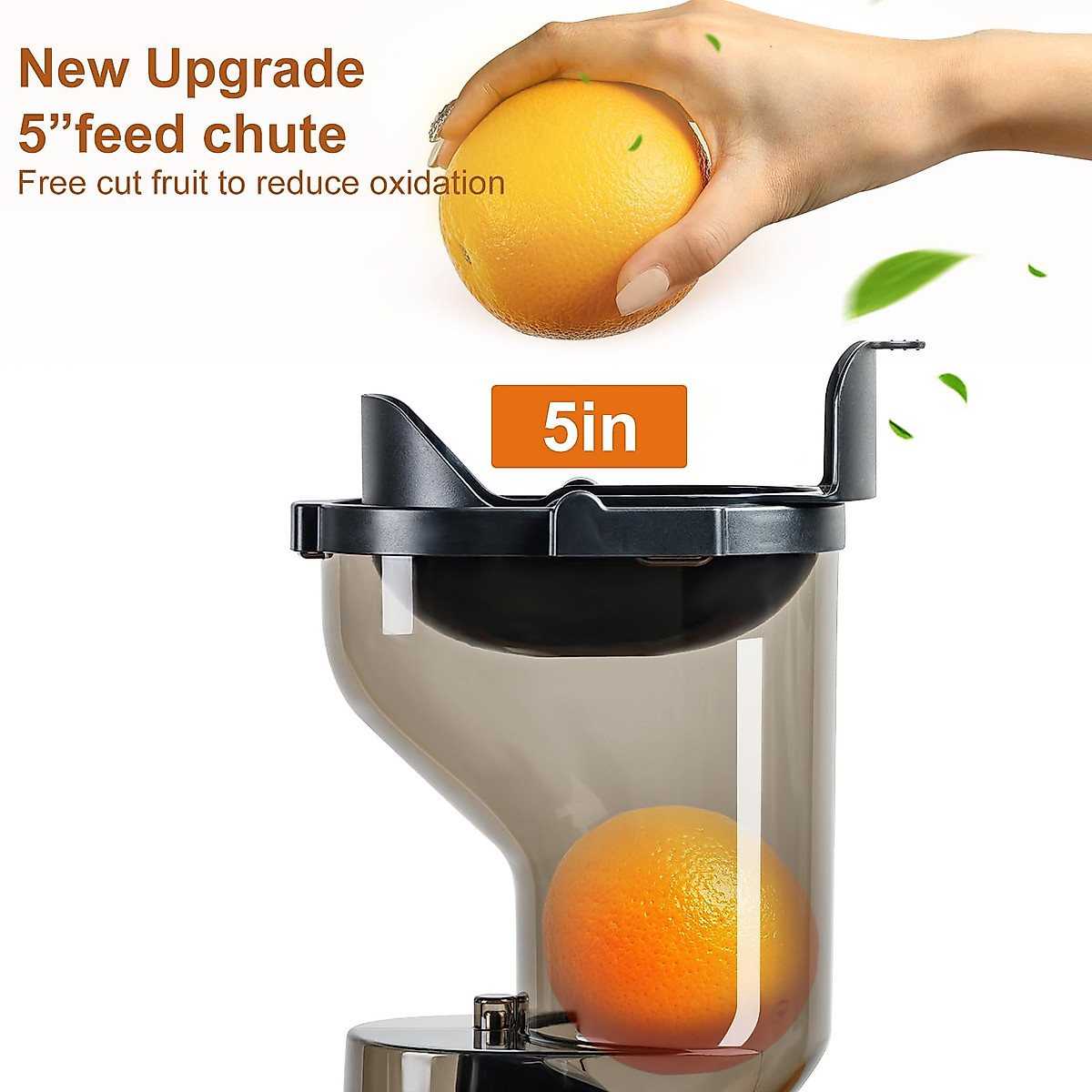 OverTwice Cold Press Juicer Machines, 5 Inch(127mm) Slow Masticating Juicer with Large Feed Chute, 250W Electric Juicer Machines Vegetable and Fruit (Stainless steel body)