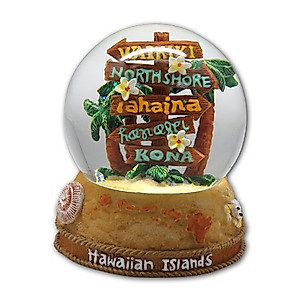Hawaii Signs Glass Water Globe