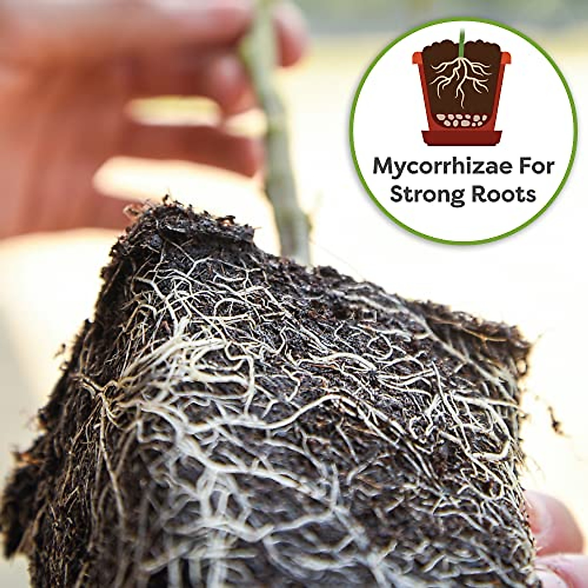 Organic Potting Mix by Perfect Plants for All Plant Types - 8qts for Indoor and Outdoor Use, Great for Veggies, Spices, and Holistic Herbs