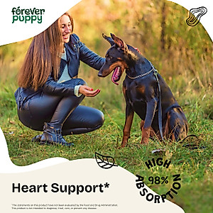 Hawthorn Berry Tincture for Dogs - Herbal Heart Supplements - Antioxidant w/Hawthorn Berry for Dogs - Liquid Dog Food Supplements for Happy Pets - No Preservatives & Artificial Colors - 4 oz