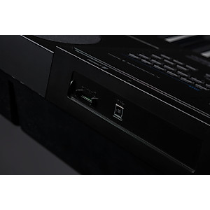 Casio WK-6600 76-Key Workstation Keyboard Bundle with Adjustable Stand, Bench, Sustain Pedal, Power Supply, Instructional DVD, and Austin Bazaar Polishing Cloth