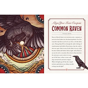 The Illustrated Bestiary: Guidance and Rituals from 36 Inspiring Animals (Wild Wisdom)