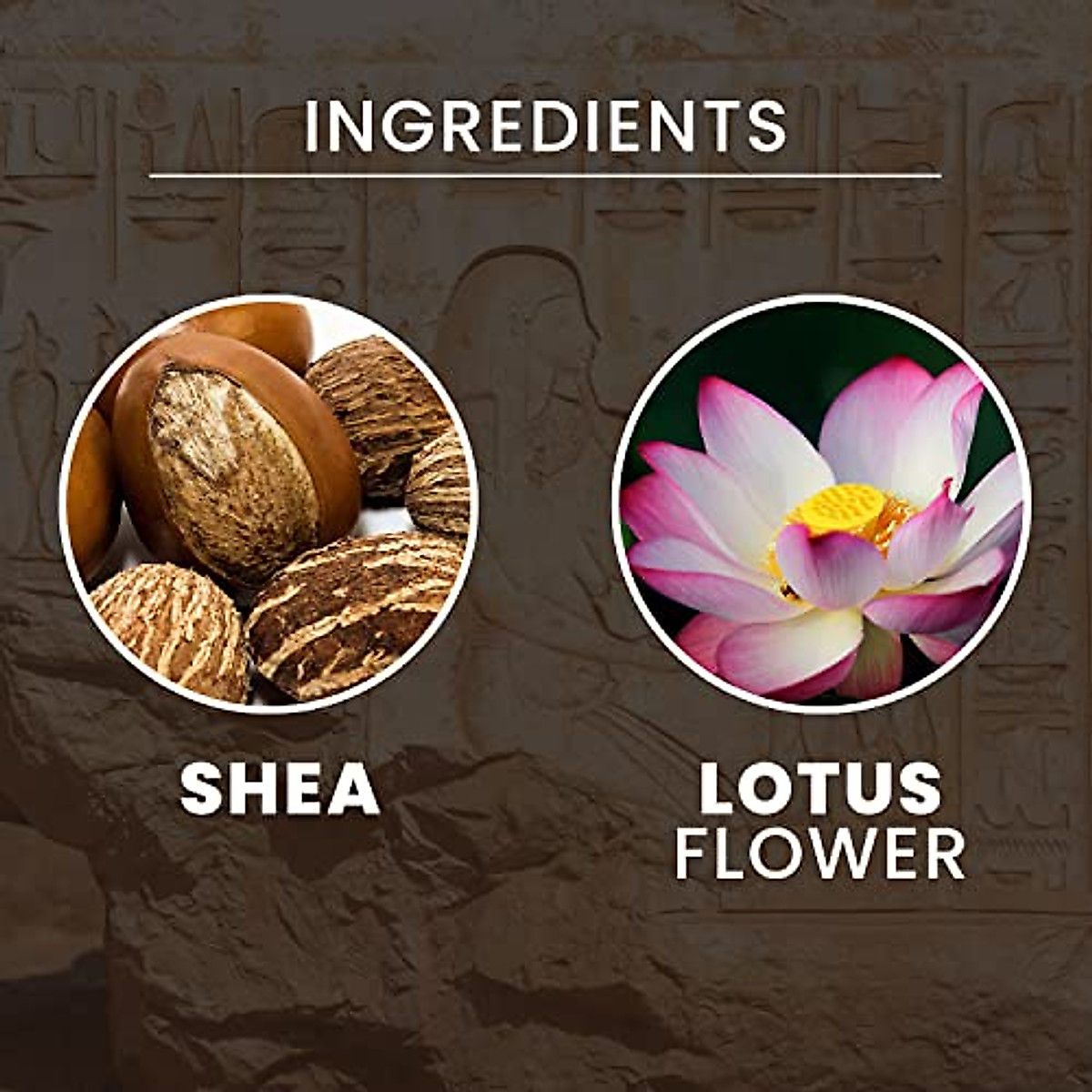 Tesori d'Oriente Perfumes for Women, Women’s Eau De Toilette Spray, Men’s Fragrances -100ml 3.38fl.oz [Italian Import]-(Lotus Flower)