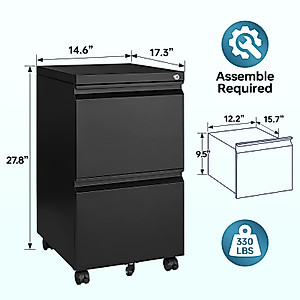 MIIIKO 2 Drawer File Cabinet on Wheels, Home Office Mobile Under Desk with Lock, Vertical Files Drawers for Legal/Letter/A4