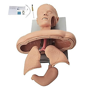 Oral Nasal Intubation Manikin, Advanced Human Tracheal Intubation Training Model Airway Management Practice Mold Teaching Instrument Demonstration Anatomical Structure