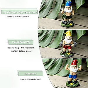 Mrsivrop Funny Workout Garden Gnomes Statues 3pcs 6.2 Inches Outdoor Funny The Muscular, Barbell and Dumbbell Gnomes Decorations Set for Yard, Lawn, Patio, Indoor Gnome Figurine for Home Tabletop