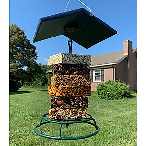 JCs Wildlife 6-Pack Mr. Bird Nut Cake, 8 oz