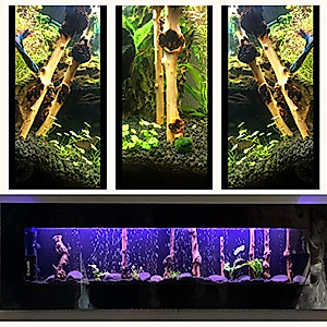 Tfwadmx Aquarium Driftwood Natural Forest Branch Trees Terrarium Wood Tree Reptile Branches Ornament Habitat Fish Tank Decoration(4 Pcs)