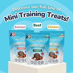 healthybud Mini Dog Training Treats - Beef Liver Soft Trainer Bites, 500+ Bits, 1 kCal per Bite, 6.5oz, Reishi, Lion’s Mane, Salmon Oil, Puppy Chews (Beef)