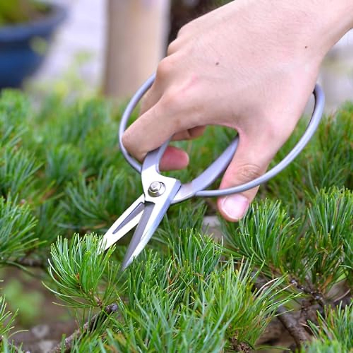 KAKURI Okubo Shears 7" (180 mm) Bonsai Scissors, Flower Arranging Scissors, Japanese Stainless Steel, Silver, Made in JAPAN