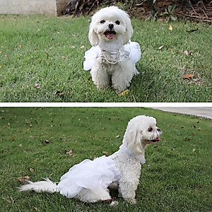 SHIAOMIN Dog Wedding Dress Bride Outfit with Pearl Necklace and Rose Pet Princess Dress Apparel for Puppy Dog Cat (Large)