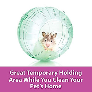 Kaytee 7" Moon Glow Run-About Exercise Ball For Pet Hamsters & Gerbils