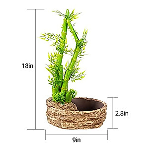 REPTIZOO Reptile Water Fountain Automatic Water Dispenser Height Adjustable 2 in 1 Bamboo Plant Water Dripper for Reptiles Chameleon Lizard Gecko Amphibians