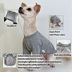 Lucky Petter Dog Shirt for Small Dogs Plain T-Shirts Soft Breathable Dog Cotton Shirt pet Clothes (Medium, Mint)