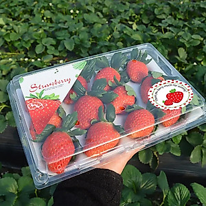 Strawberry Thank You Sticker Labels 1.5 Inch Thank You Berry Much for Coming Stickers - Sweet Strawberry Themed Birthday Party Favors Thank You Sticker Labels 250 Pcs