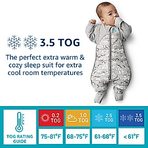 Love to Dream Swaddle UP Transition Suit Extra Warm 3.5 TOG, Grey, Large, 19-24 lbs, Patented Zip-Off Wings & Self-Soothing Wings, Gently Help Baby Safely Transition from Being Swaddled to Arms Free