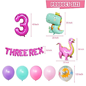 Mpanwen Girl Dinosaur Birthday Party Decorations, Three Rex Pink Dinosaur Dino Party Supplies for Girls Baby - Banner, Cake, and Cupcake Toppers, Balloons