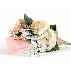 Paris Coupe Cocktail and Champagne Glasses for Daiquiri, Sidecar, Gimlet and Classic Bar Drinks | Modern Glassware Collection | Set of 4 | 8 oz Extra Light Contemporary Borosilicate Saucers