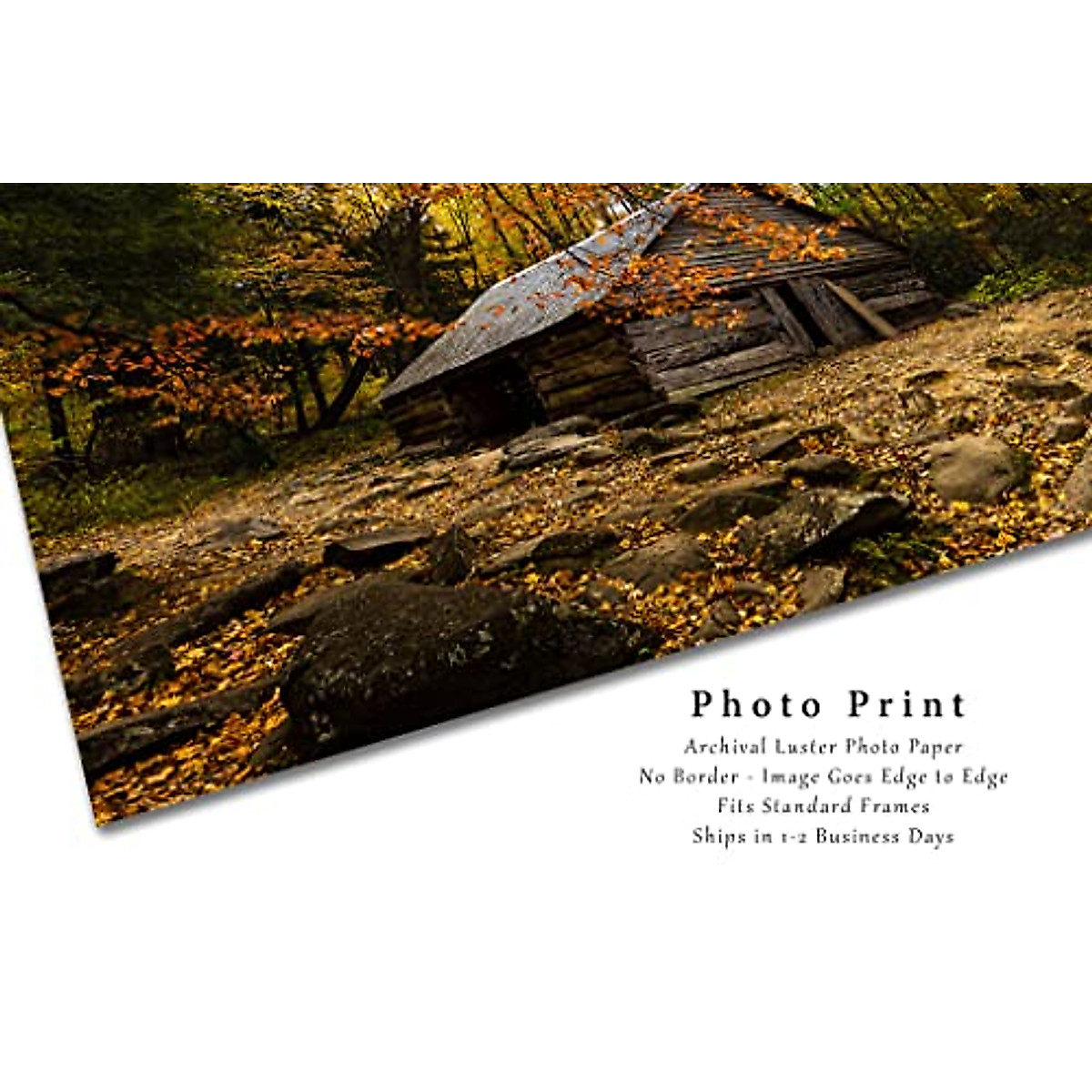 Country Photography Print (Not Framed) Picture of Old Barn Surrounded by Fall Foliage on Autumn Day in Great Smoky Mountains Tennessee Rustic Wall Art Cabin Lodge Decor (8" x 10")