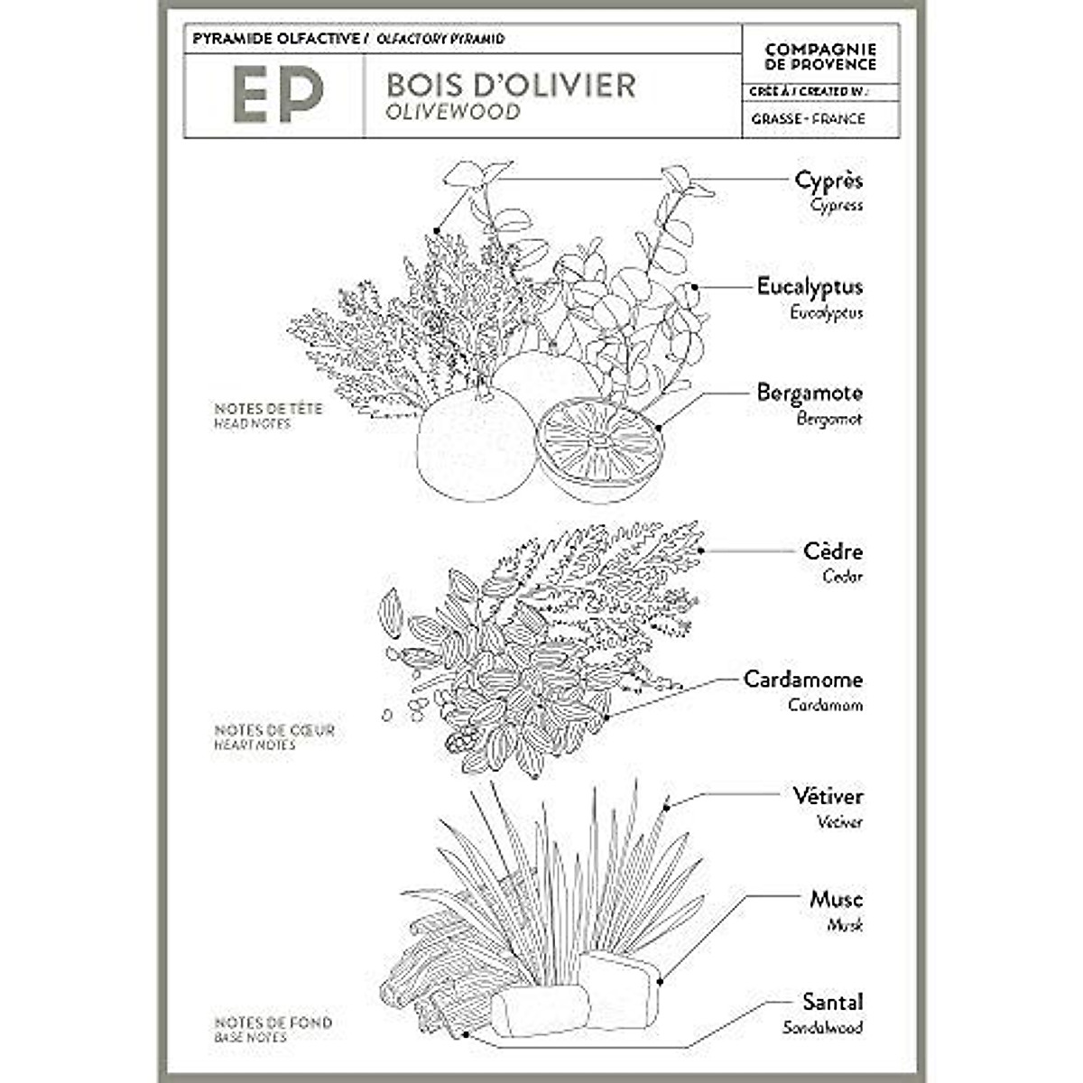 Compagnie de Provence Savon de Marseille Extra Pure Liquid Soap - Olive Wood - 10 Fl Oz Plastic Pump Bottle