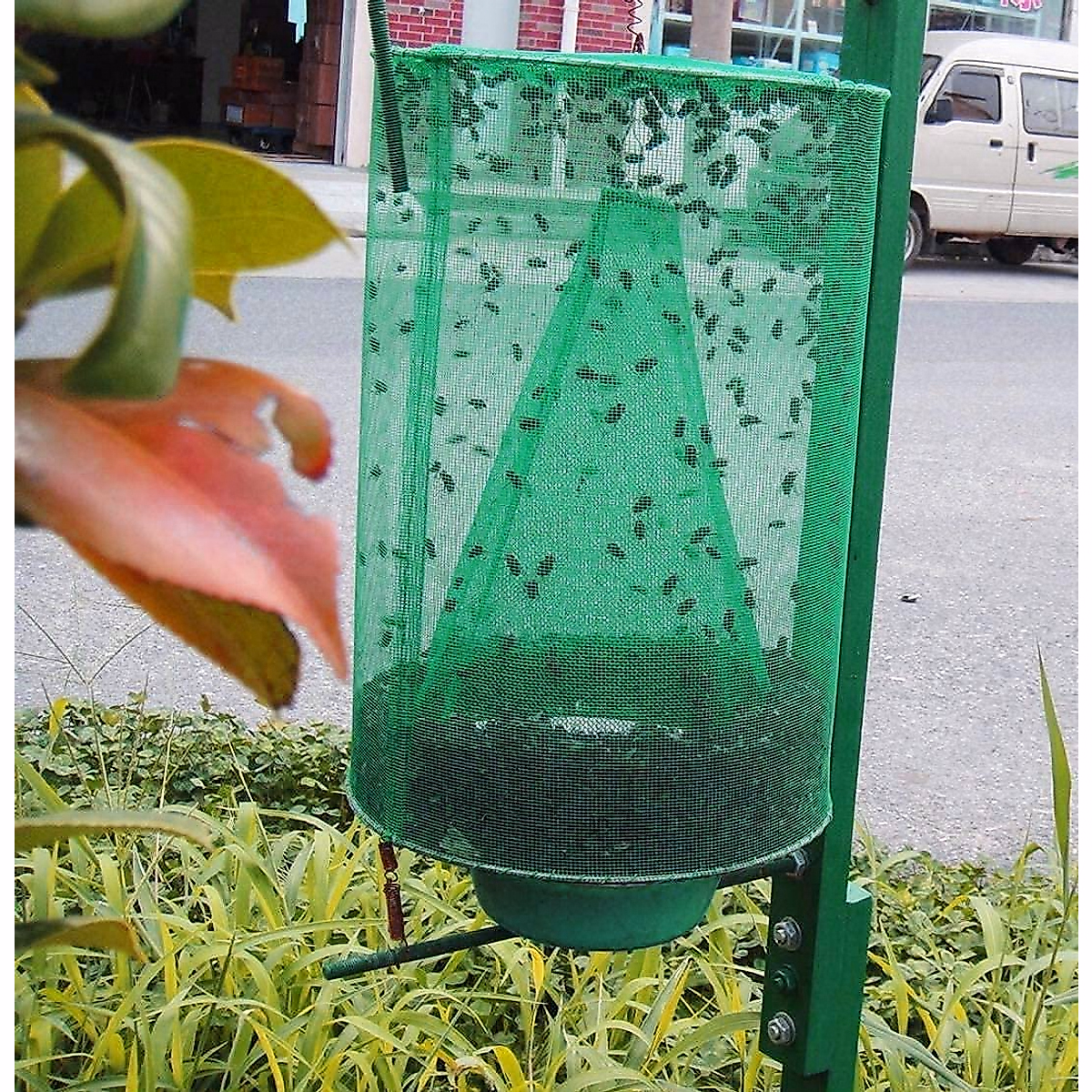 6 Pack Ranch Fly Trap, 2024 New Hanging Fly Catcher, The Most Effective Trap Ever Made with Pots, Cage Catcher for Indoor and Outdoor, Family Farms, Park, Restaurants