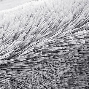 HQAYW Modern Fluffy Area Rug, Shaggy Rugs for Bedroom Living Room Ultra Soft Shag Fur Carpets for Kids Girls Nursery Plush Fuzzy Rug Cute Home Decor Rug, 4' x 6', Grey
