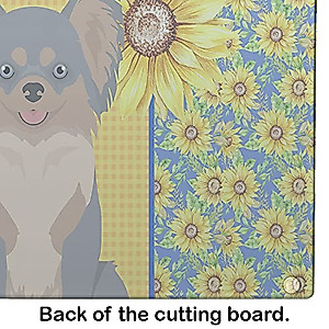 Caroline's Treasures WDK5358LCB Summer Sunflowers Longhaired Blue and Tan Chihuahua Glass Cutting Board Large Decorative Tempered Glass Kitchen Cutting and Serving Board Large Size Chopping Board
