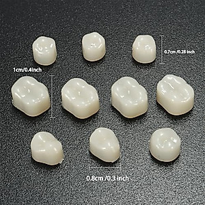120 Pieces Fake Tooth Cap Crown Veneers Front Back Anterior and Molar Posterior Teeth with Thermal Beads Cap Filler for Teaching or DIY (50pcs Front and 70pcs Back)