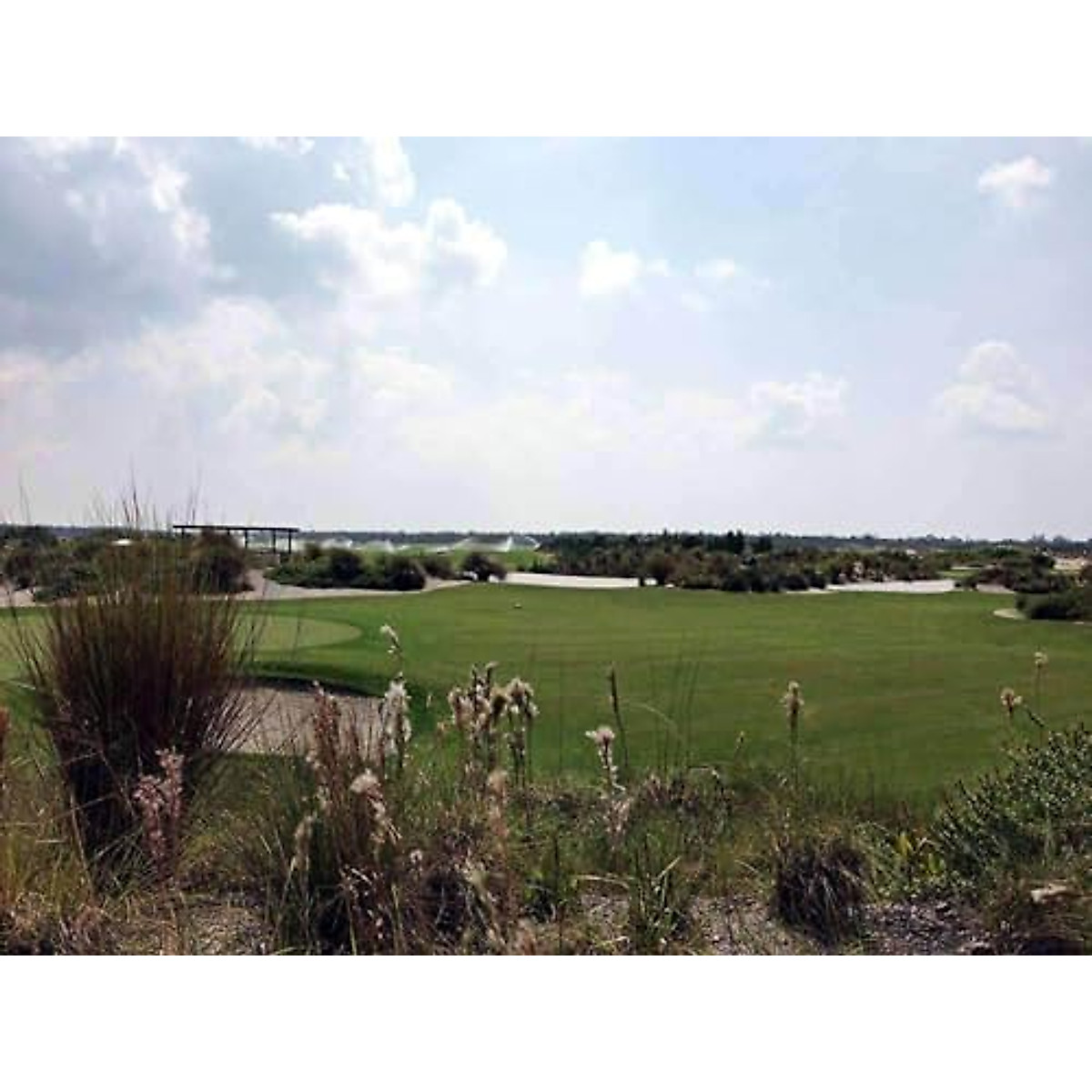 Hancock Seed Co. Royal Bengal Bermuda Grass Seeds, 2 lbs.