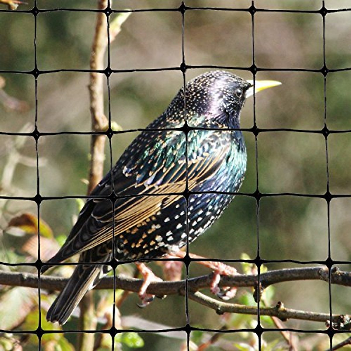 Bird-X Standard Bird Netting, Ideal for Gardens and Lightweight Applications, UV-Stabilized Mesh Netting with 3/4" Hole Opening, Easy to Install, 100' x 14'