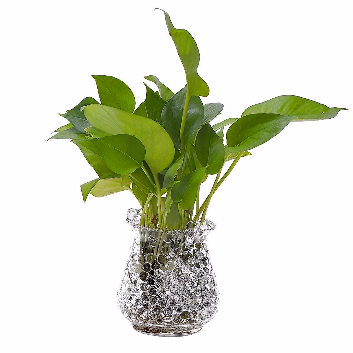 EBOOT 10000 Pieces Gel Soil Water Crystal Beads Gel Jelly Water Gems Vase Filler (Clear)