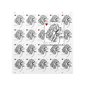 Vintage Rose Pane of 20 Postage Stamps Wedding Stamps Scott 4959 Bundle with Northarvest Clip