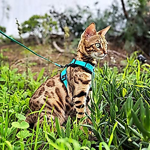 Mewo Cat Harness and Leash - Escape Proof, Soft, Comfortable, Reflective, & Adjustable, for a Safe & Snug Fit (Aqua Marine, Small)