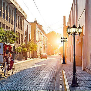 PARTPHONER Outdoor Lamp Post Light 3-Head, Classic Black Light Pole with Clear Glass Panels, E26 Base Maximum 100W (3 LED Bulbs Included), Waterproof Street Light for Backyard, Garden, Driveway