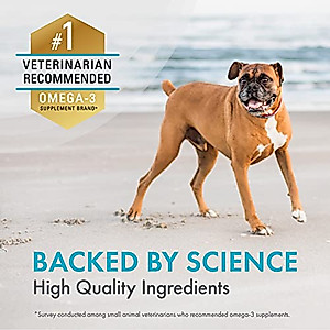 Nutramax Welactin Daily Omega-3 Supplement For Dogs, Skin & Coat Health Plus Overall Health, 60 Soft Chews
