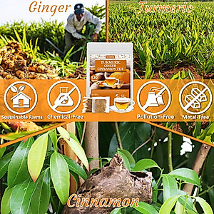 120 Premium Turmeric, Ginger, Cinnamon Blend Tea Bags, 100% Natural & No Additives & Caffeine Free.